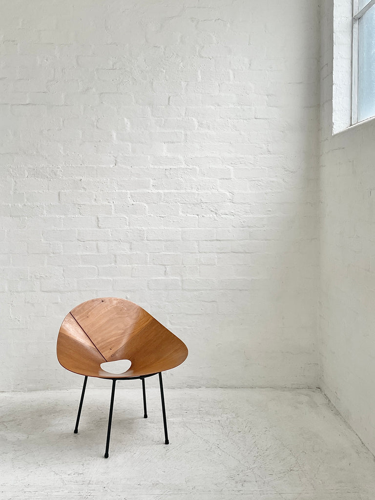 Roger McLay 'Kone' Chair — Nord