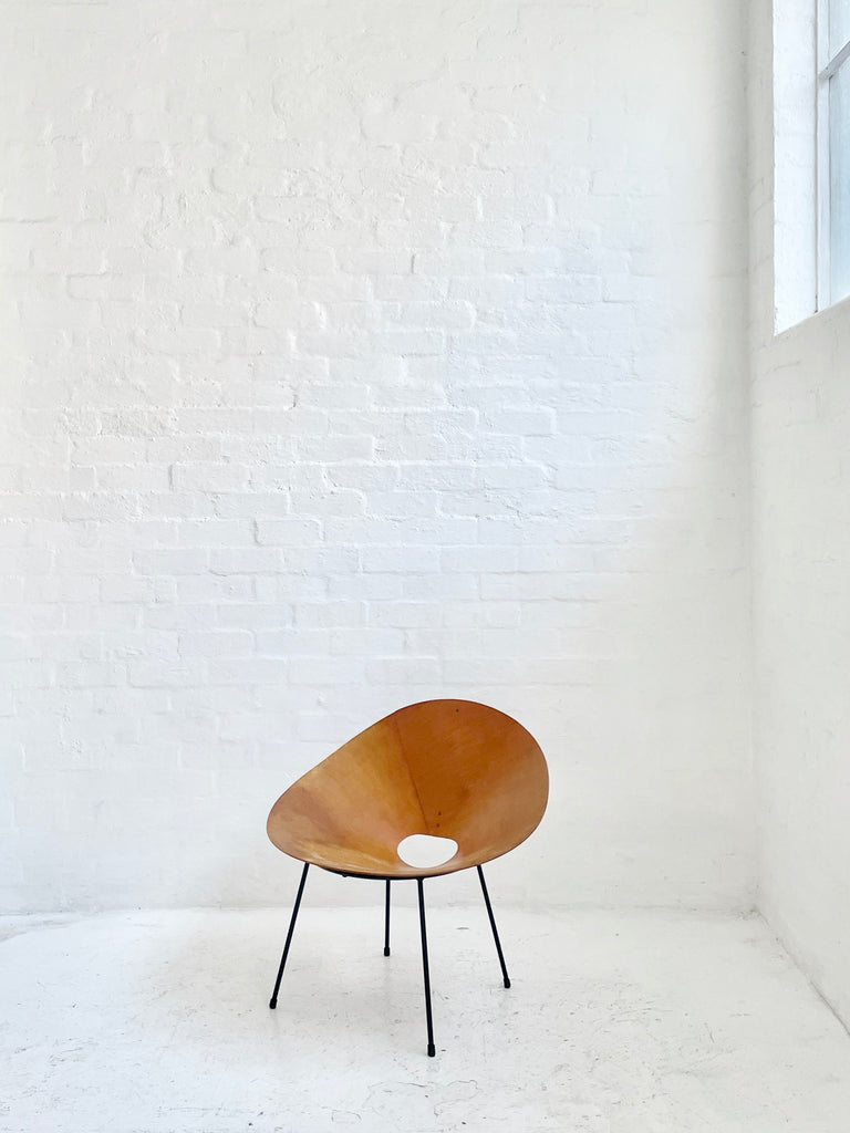 Roger McLay 'Kone' Chair — Nord